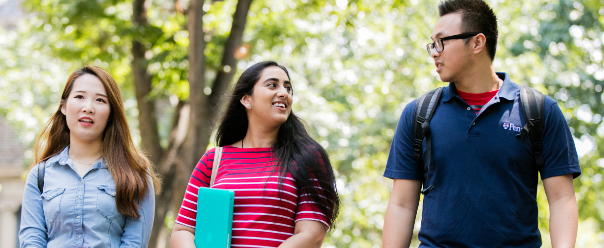 LPS international undergraduate programs